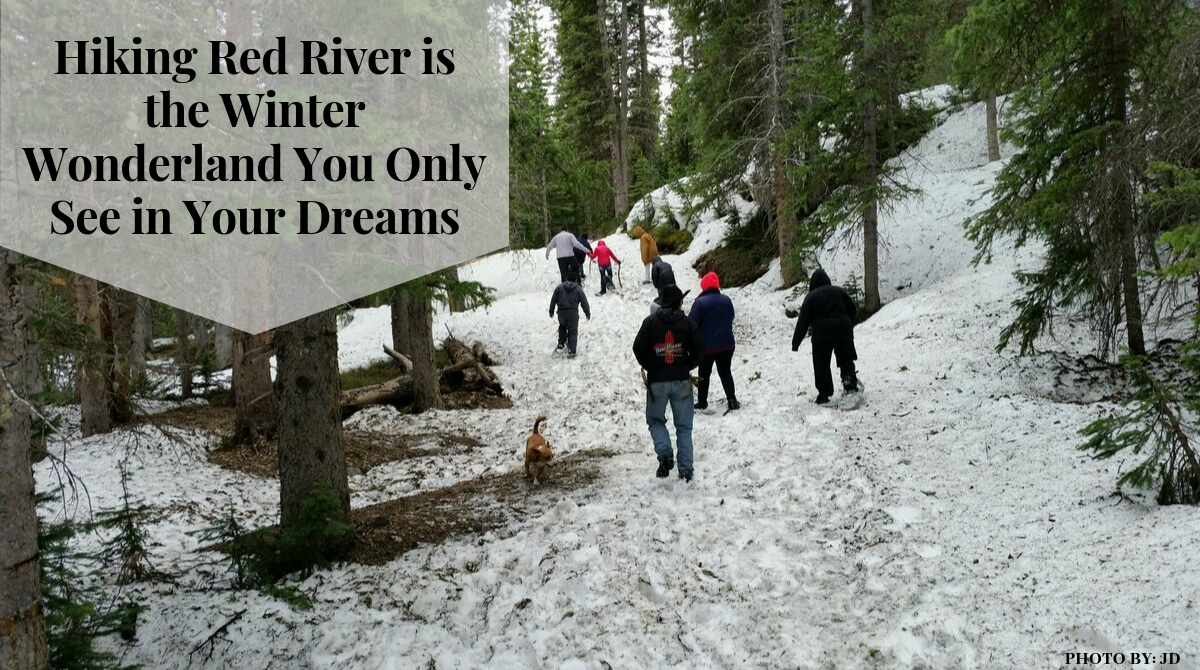 Hiking Red River is the Winter Wonderland You Only See in Your Dreams ...